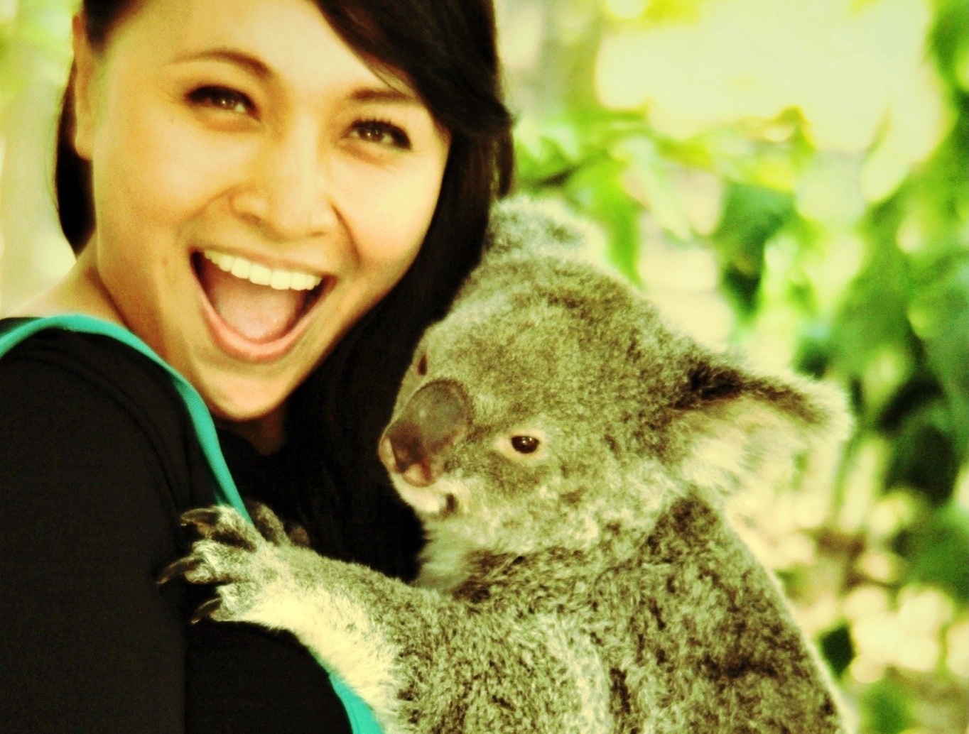 main sama koala dan kangguru di australia - www.olivelatuputty.com/blog