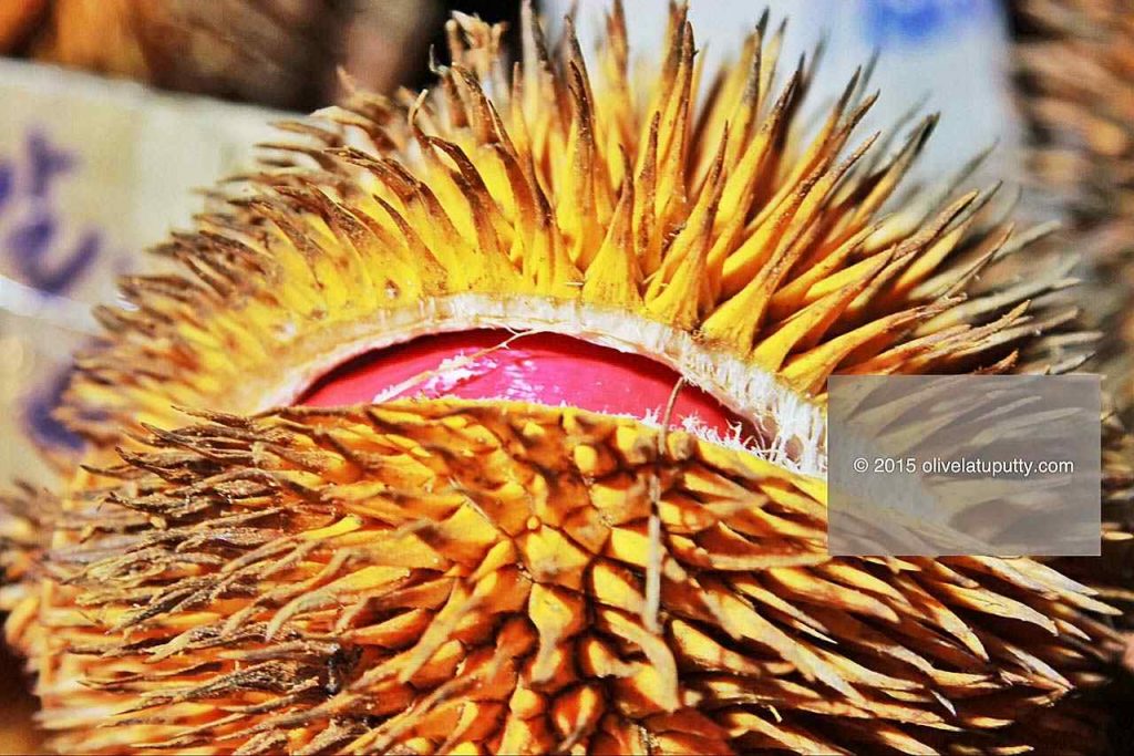 Berburu Durian Merah // Finding RED DURIAN - Olive Latuputty